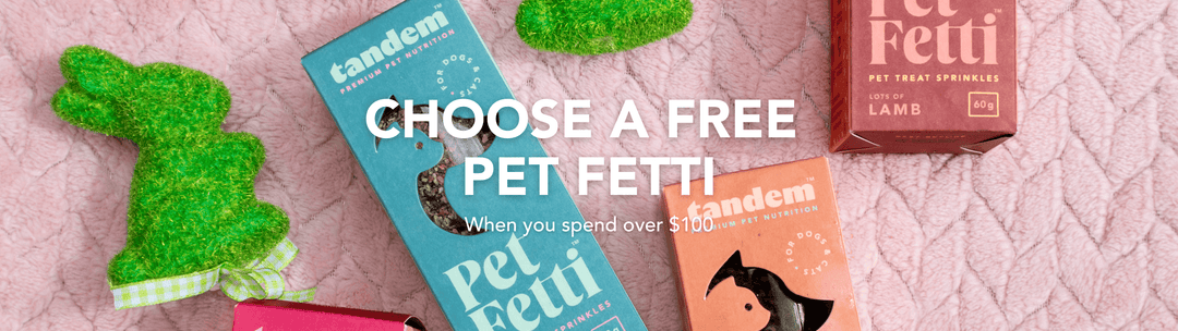 Super Foods (for Dogs) – Tandem